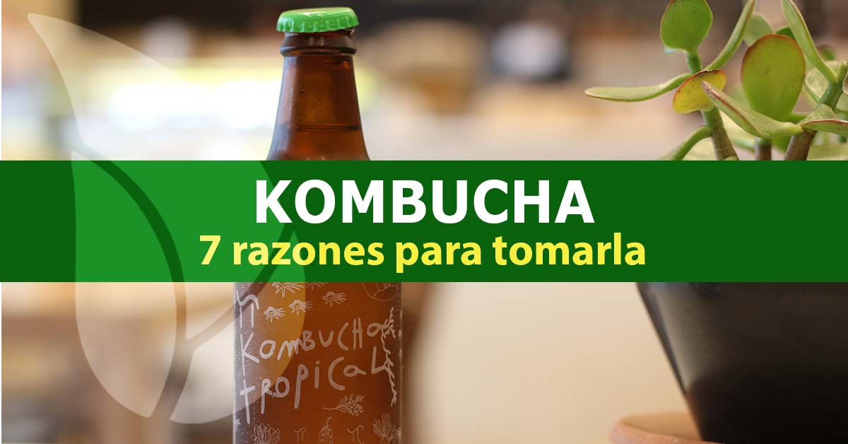 Kombucha, 7 razones para tomarla - Clínica Integral Naturalmente