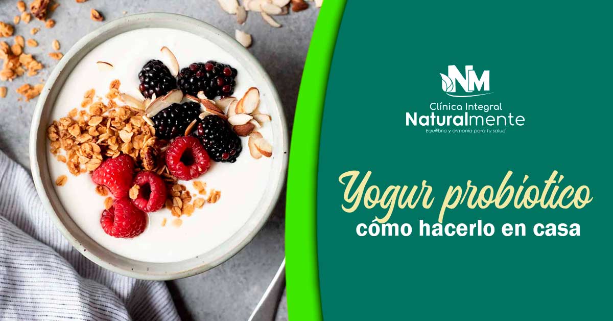 Cómo hacer yogur probiótico - Clínica Integral Naturalmente