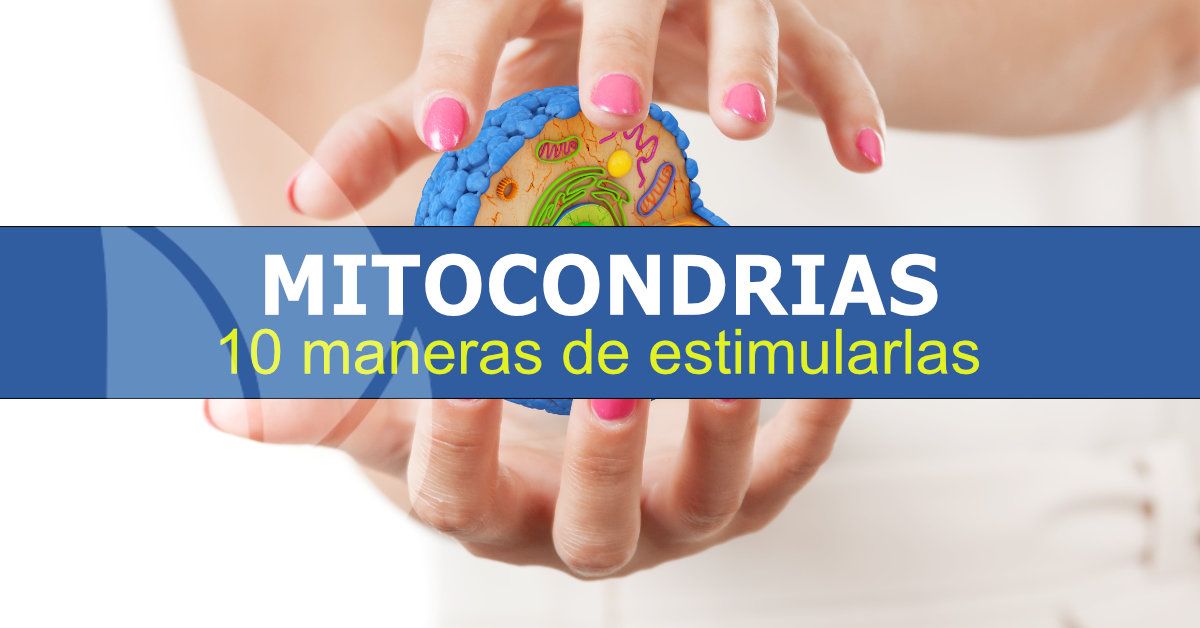 Mitocondrias, 10 maneras de estimularlas - Clínica Integral Naturalmente
